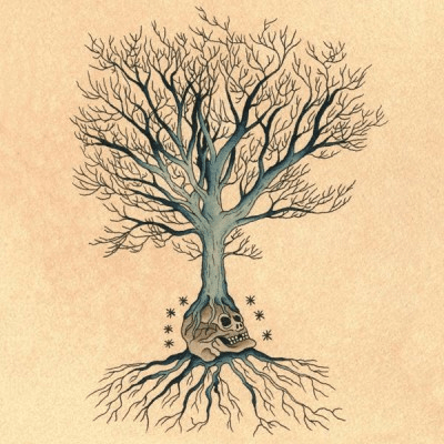 Douglas McCombs Albums: songs, discography, biography, and listening ...