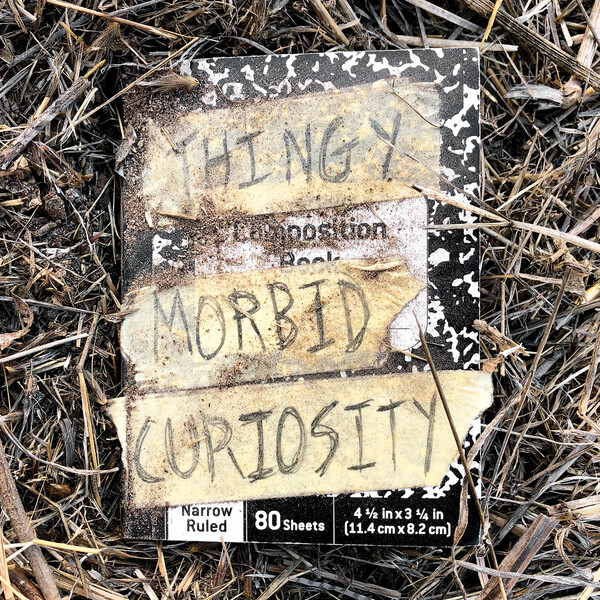Morbid Curiosity by Thingy (Album, Math Rock): Reviews, Ratings ...