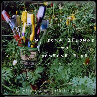 My Song Belongs to Someone Else (I Wish It Was Mine): A Zita Swoon ...