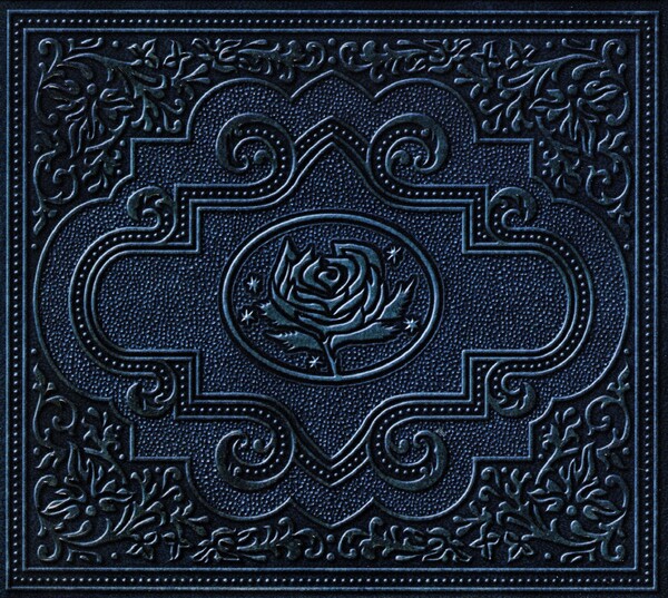 Cold Roses by Ryan Adams & The Cardinals (Album, Alt-Country): Reviews ...