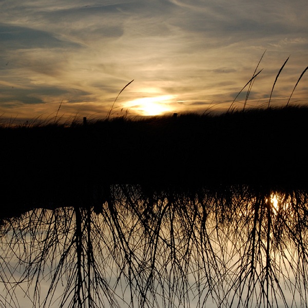 Anthony Green Albums: songs, discography, biography, and listening ...