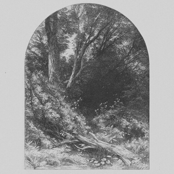 Acasia Albums: songs, discography, biography, and listening guide ...