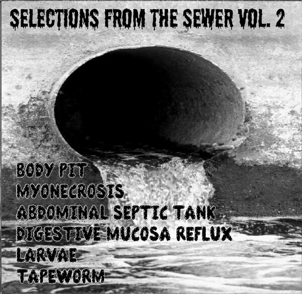 Selections From the Sewer Vol. 2 by Various Artists (Compilation; n/a ...
