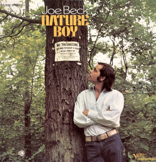 Nature Boy by Joe Beck (Album, Psychedelic Rock): Reviews, Ratings ...