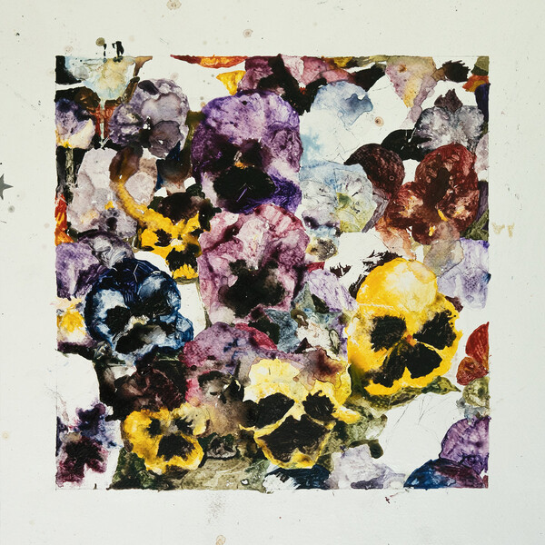 Maria Reis Albums: songs, discography, biography, and listening guide ...