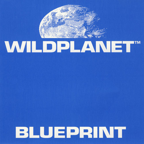 Blueprint by Wild Planet (Album; Warp; WARPCD11): Reviews, Ratings ...