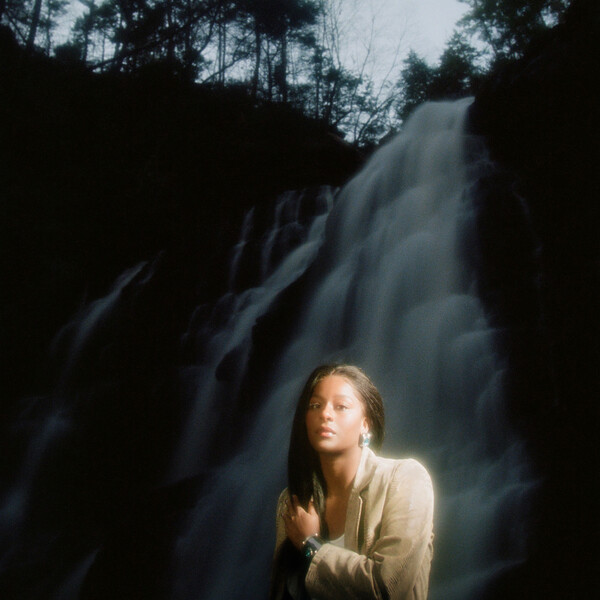 L'Rain Albums: songs, discography, biography, and listening guide ...