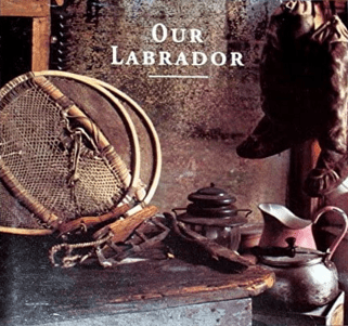 Our Labrador by Shirley Montague / Harry Martin / Margaret Metcalfe ...