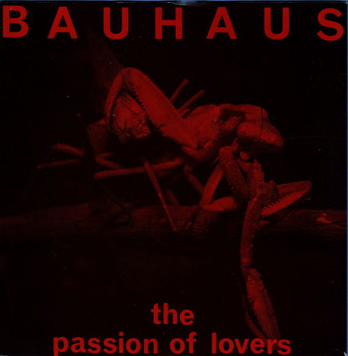 The Passion of Lovers / 1. David Jay 2. Peter Murphy 3. Kevin Haskins 4 ...