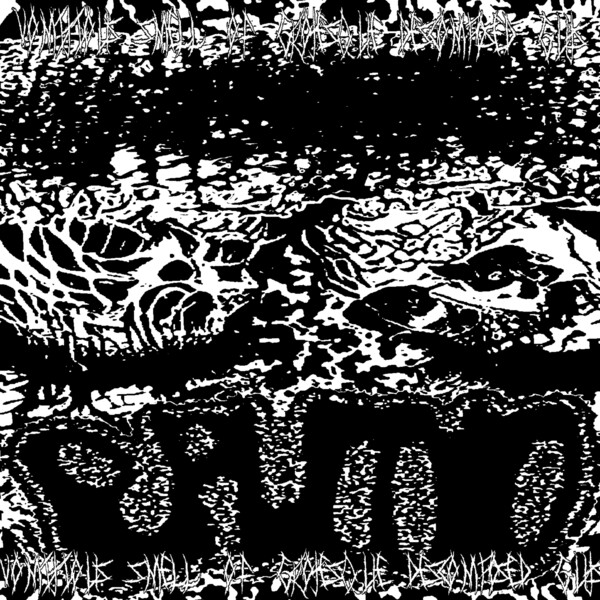 Vomitious Smell of Grotesque Decomposed Guts by Aggressive Grotesque ...