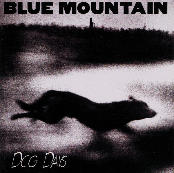 Blue Mountain Albums: songs, discography, biography, and listening ...