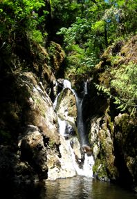 Alda by Alda (Album, Atmospheric Black Metal): Reviews, Ratings ...