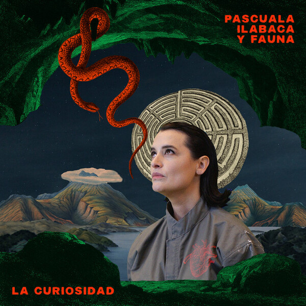 La curiosidad by Pascuala Ilabaca y Fauna (Single): Reviews, Ratings, Credits, Song list - Rate ...