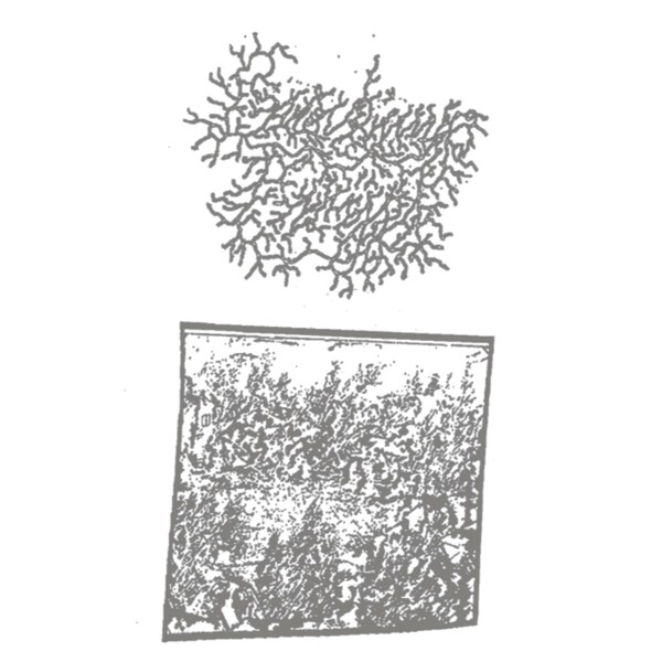 LEAKING CRYPT Albums: songs, discography, biography, and listening ...