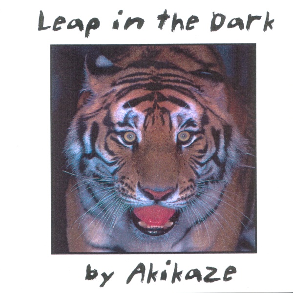 Leap in the Dark by Akikaze (Album, Progressive Electronic): Reviews ...