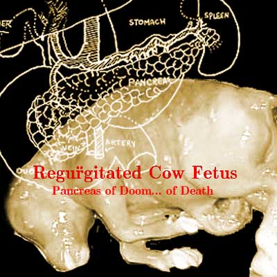 Pancreas Of Doom... Of Death by Regurgitated Cow Fetus (Album): Reviews ...