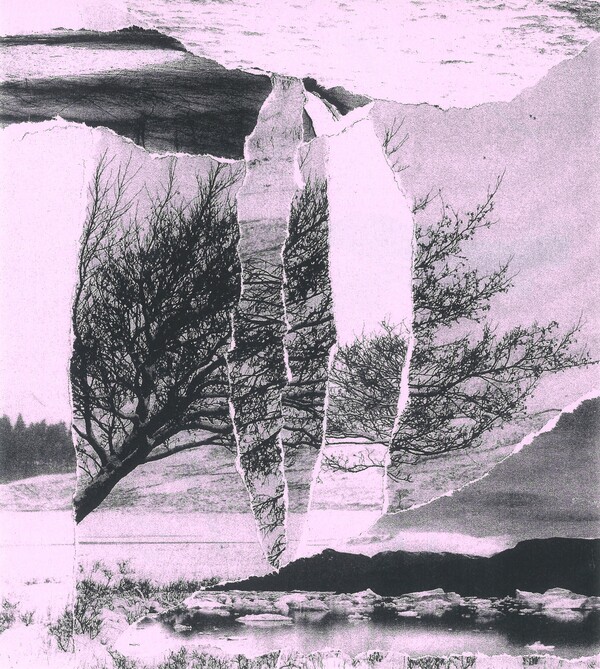 Perforated Landscape by Michael Ridge (EP, Ambient): Reviews, Ratings ...