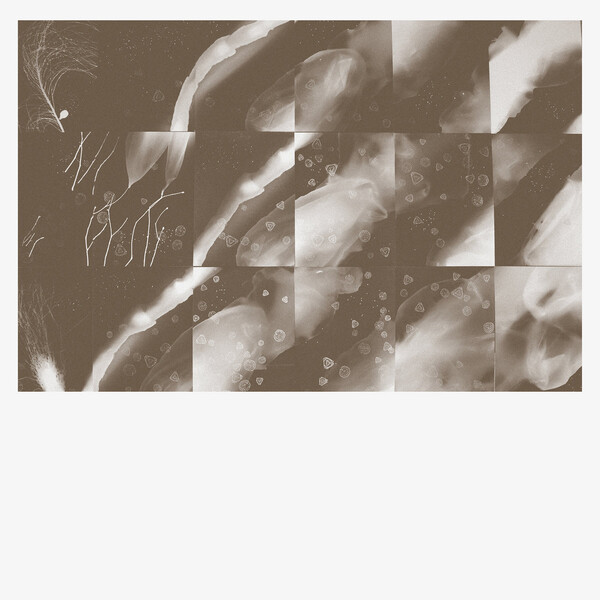 For a Moment the Sky Knew My Name by Peter Knight (Album, Ambient ...