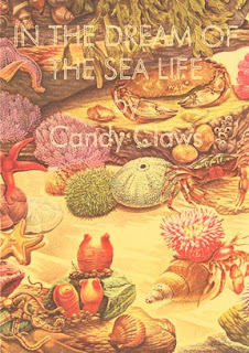In the Dream of the Sea Life by Candy Claws (Album): Reviews, Ratings ...