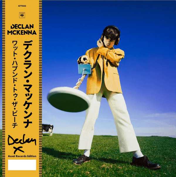 What Happened to the Beach? [yellow vinyl + obi strip] by Declan ...