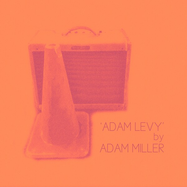 Adam Levy by Adam Miller (Single): Reviews, Ratings, Credits, Song list ...