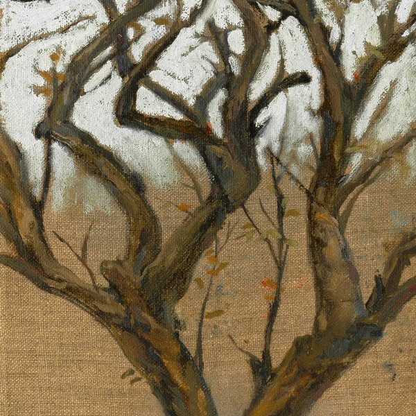 Mong manh by Mối (Album, Indie Rock): Reviews, Ratings, Credits, Song ...