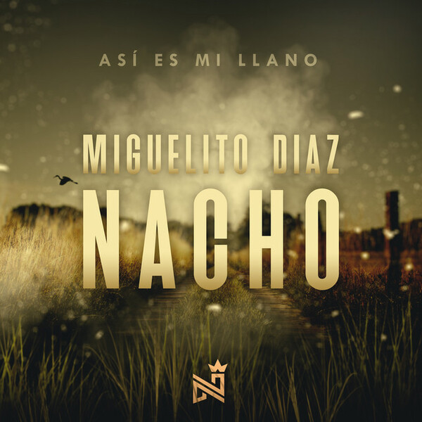 Así es mi llano by Nacho & Miguelito Díaz (Single, Música llanera): Reviews, Ratings, Credits ...