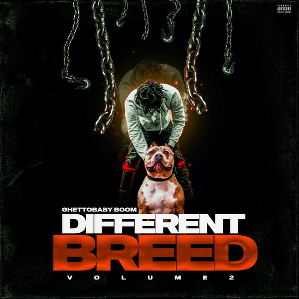 Different Breed, Vol. 2 by Ghetto Baby Boom (Album, Detroit Sound ...