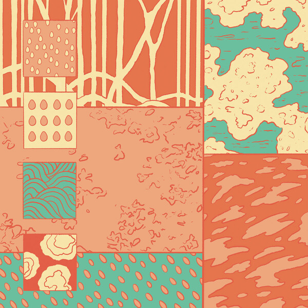 After the Rain, Strange Seeds by The Leaf Library (Album): Reviews ...