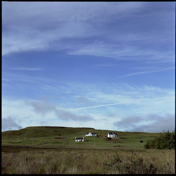 You Are My Home by Rivulets (Album; Important; imprec109): Reviews ...