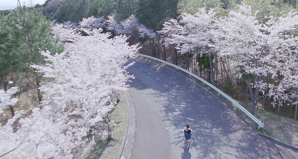 A Foray Into Japanese Cinema - Rate Your Music