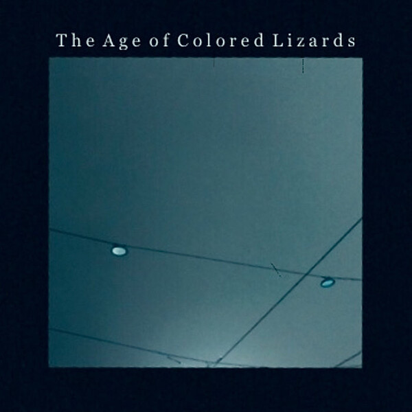 Picture of You by The Age of Colored Lizards (Album): Reviews, Ratings ...