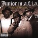 Junior M.A.F.I.A. Albums: songs, discography, biography, and listening ...