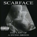 Scarface Albums: songs, discography, biography, and listening guide ...