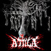 Profile: PubeHairForestFire - Rate Your Music