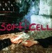Soft Cell Albums: songs, discography, biography, and listening guide ...