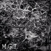 Youth Suicide Fantasy by Mass Graven Image (Album): Reviews, Ratings ...