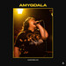 Amygdala Albums: songs, discography, biography, and listening guide ...
