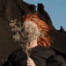 Goldfrapp Albums: songs, discography, biography, and listening guide ...