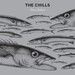 The Chills Albums: songs, discography, biography, and listening guide ...