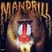 Mandrill Albums: songs, discography, biography, and listening guide ...