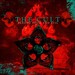 The Cult Albums: songs, discography, biography, and listening guide ...