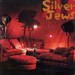 Silver Jews Albums: songs, discography, biography, and listening guide ...