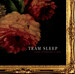 Team Sleep Albums: songs, discography, biography, and listening guide ...