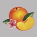 Phoenix Albums: songs, discography, biography, and listening guide ...