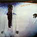 Chrome Albums: songs, discography, biography, and listening guide ...