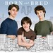 AJR Albums: songs, discography, biography, and listening guide - Rate ...