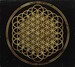 Bring Me the Horizon Albums: songs, discography, biography, and ...