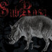 SubRosa Albums: songs, discography, biography, and listening guide ...