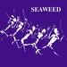 Seaweed Albums: songs, discography, biography, and listening guide ...